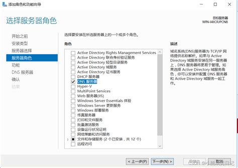 DHCP DNS WEB服务器简单搭建 这里利用一台win server 2016进行两台克隆 CSDN博客
