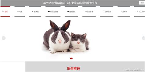 基于协同过滤算法的初心宠物医院综合服务平台的设计与实现 计算机毕业设计源码lw文档 Csdn博客