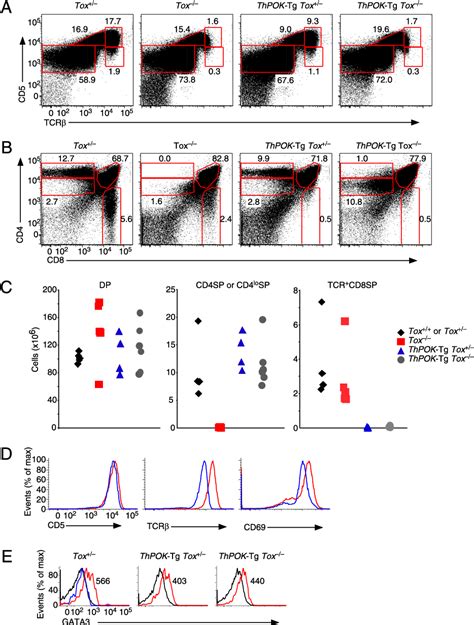 Figure 2 From Tox Is Required For Development Of The Cd4 T Cell Lineage Gene Program Semantic