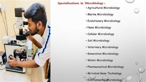 Scope Of Microbiology Ppt