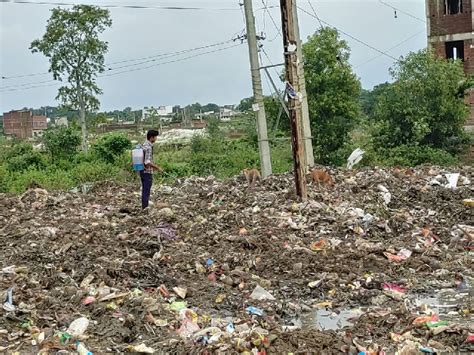 Golden Bio Decomposer For Smell Removal Composting Packaging Type Drum At Rs 150 In Purulia