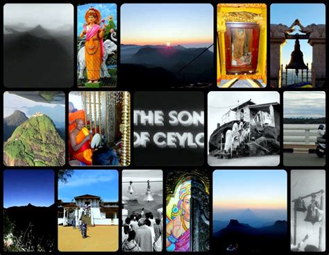 Supun Maduwantha On Linkedin Sensemediasrilanka Sensephotography