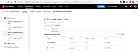 Aem Cloud Environment And Secret Variables
