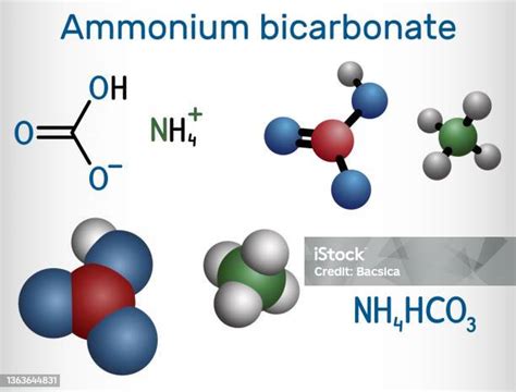 암모늄 중탄산염 Nh4hco3 암모니아 중탄산염 암모늄 탄산수소 분자 식품 첨가물 인 Θ503입니다 구조적 화학 적 포뮬러 및 분자 모델 0명에 대한 스톡 벡터 아트 및