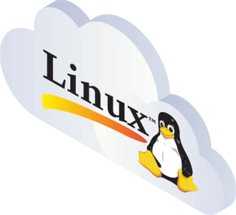 Linux Server Management Services At ₹ 8000month In Jaipur Id 2856756869055