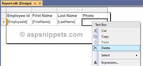 Display Binary Image From Database In Rdlc Report In Aspnet Core