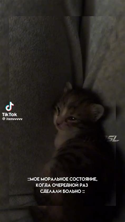 Пин на доске дашка🫀🫶🏻🫂 Успокаивающие цитаты Католические мемы Веселые мемы