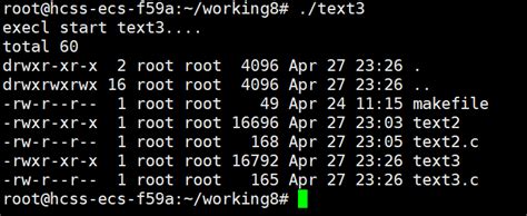 Linux进程的替换 Csdn博客