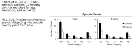 Memory And Language LECTURE Flashcards Quizlet