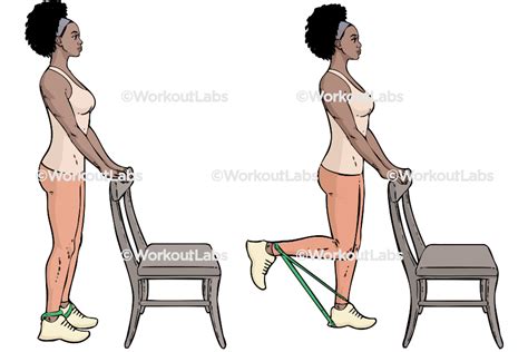 Seated Hamstring Curls With Theraband