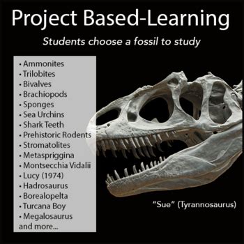Fossil Research Project 100 Editable By Creative Lab TPT