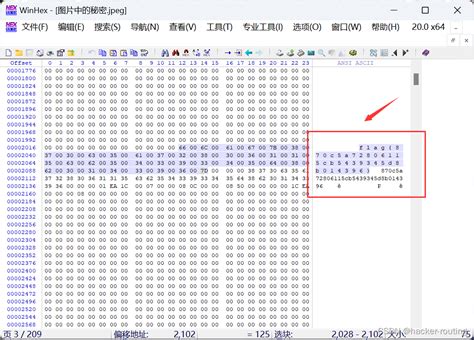 【buuctf Misc】通关 20buuctf Misc Flag Csdn博客
