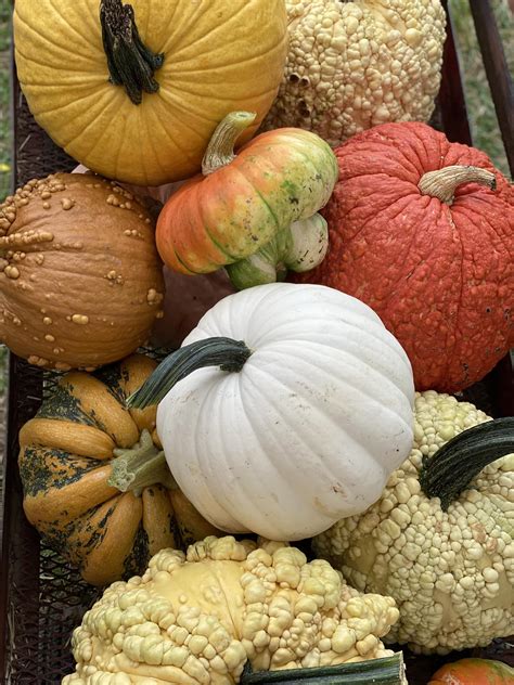 In The Kitchen With Juliar You Are Watching In The Kitchen With