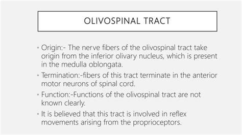 Extrapyramidal Tract Hr
