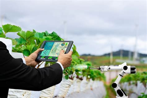 Leveraging Data Analytics For Higher Agricultural Yields Agritechtomorrow
