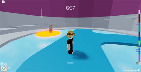 My Roblox Asset Are Not Loading Pls Help Rmyanmarplayers