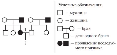 Задание №8801 По изображённой на рисунке родословной определите вероятность рождения в браке 1