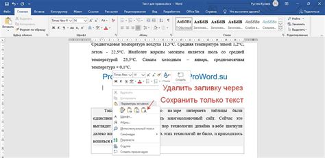 Как убрать заливку текста в Ворде Заливка текста в Word