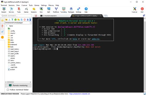 Transfer Data Delftblue Documentation