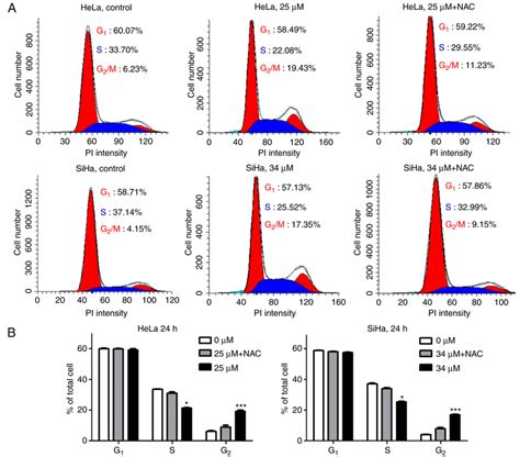 Cell Cycle Analysis A Cell Cycle Analysis Was Performed By Flow Download Scientific Diagram