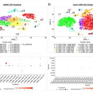 Cluster Analysis Of ScRNA Seq Samples A Unsupervised Clustering Of Download Scientific