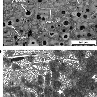 Definition Of Transition Zone Download Scientific Diagram