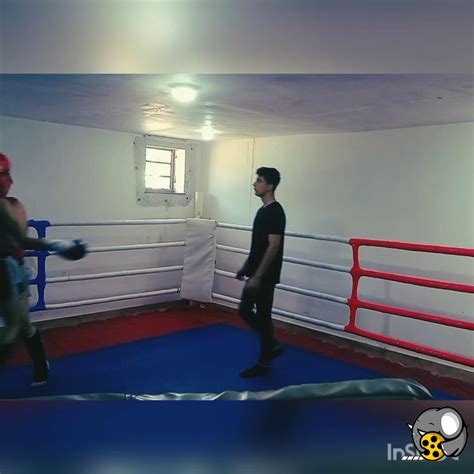 کیک بوکسینگ مهاباد و بوکان فیلو