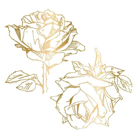 Rosa Dibujada A Mano Ilustraci N Vectorial Rosa Estilo Tatuaje Vintage
