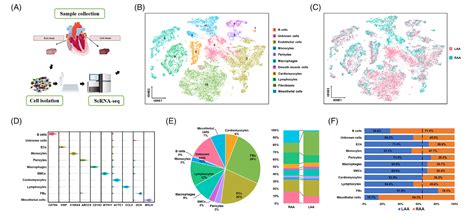 Prjna815461 生信菜鸟团