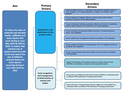 Maternity And Neonatal Safety Improvement Programme Matneosip Hiwm