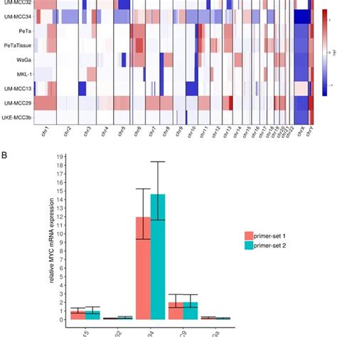 CNVs In MCC Cell Lines A Graphical Display Of Derived CNVs Using Download Scientific Diagram