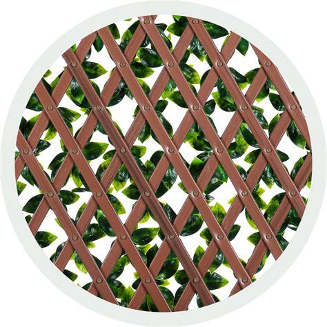 [100 ] Lattice Png Images
