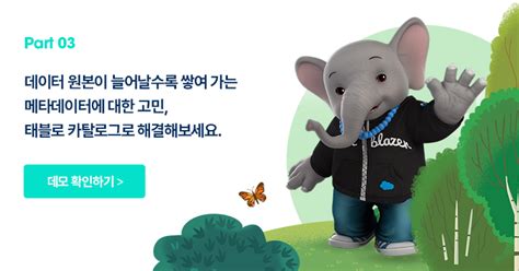 태블로 Data Management Add On 태블로 Salesforce