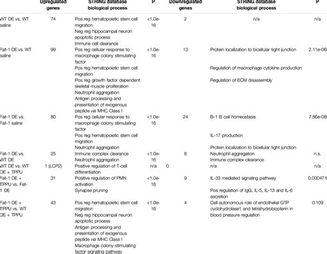 String Database Analysis Of The Differentially Regulated Genes And