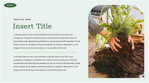 Planting Trees Slideshare Ppt Lifestyle Google