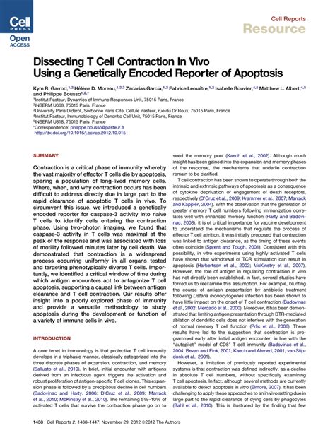 Pdf Dissecting T Cell Contraction In Vivo Using A Genetically Encoded