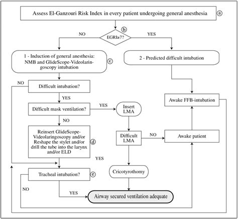 Difficult Airway Management Algorithm A Patients With Morbid Obesity Download Scientific