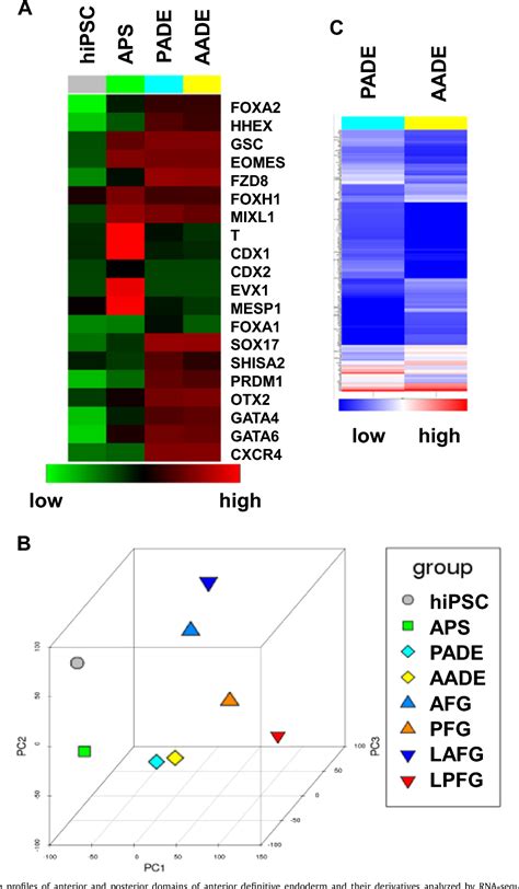 Figure 1 From Redefining Definitive Endoderm Subtypes By Robust Induction Of Human Induced