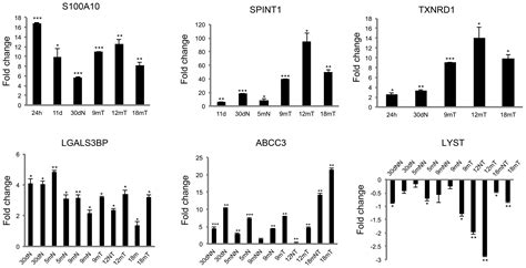 analysis of gene expression profiles as a tool to uncover tumor markers