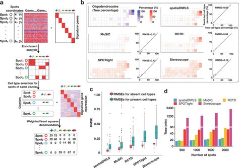 Spatialdwls Accurate Deconvolution Of Spatial Transcriptomic Data Pmc