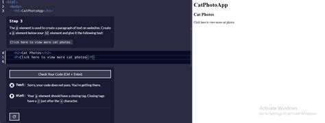Learn Html By Building A Cat Photo Step 3 Html Css The Freecodecamp