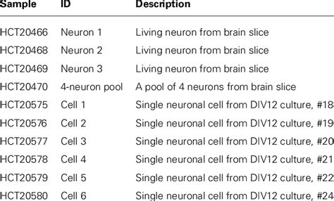 A List Of Samples Used In Our RNA Seq Experiment The Live Neurons Download Table