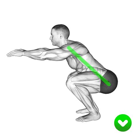 Tempo Squats Do They Actually Do Anything Inspire Us