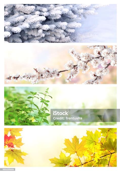 일년 중 사계절 겨울 봄 여름 가을 장면이 있는 수평 자연 배너 세트입니다 계절별 경치가 있는 자연 콜라주 계절에 대한 스톡 사진 및 기타 이미지 Istock