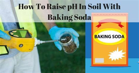 How To Raise PH In Soil With Baking Soda
