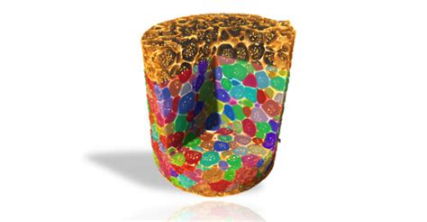 Webinars On 3d Grain Mapping Xnovotech