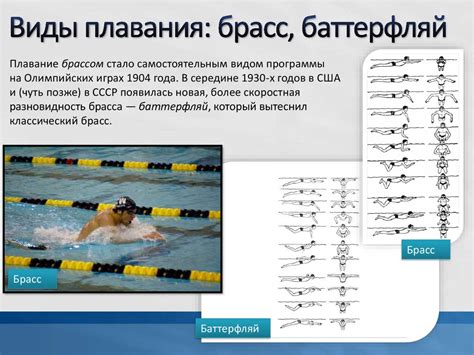Плавание как вид досуга и спорта - online presentation