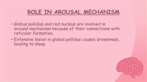 Physiology Of Basal Nuclei PPTX Physical Therapy Wellness