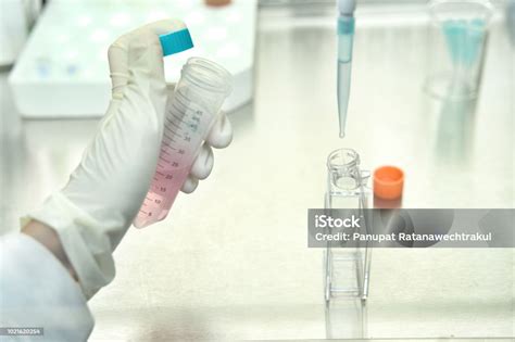 변경 하는 여자 연구원은 약물의 연구에서 유지 세포 선 또는 실험실 룸에서 화학 물질에 대 한 플라스 크에 문화 매체에 대 한 새로운 성장 매체 Drug에 대한 스톡 사진