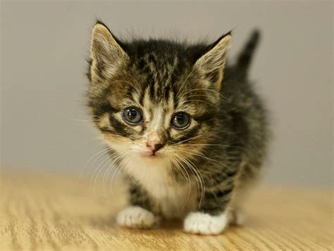 cool concept but this partial prerendering thing in next js feels a bit like beta testing in